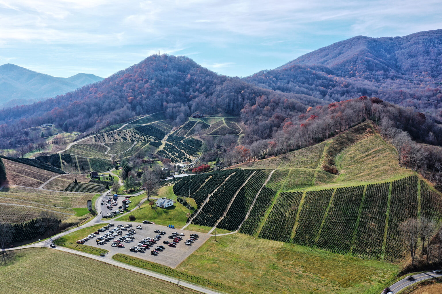 Tree Care – Boyd Mountain Christmas Tree Farm